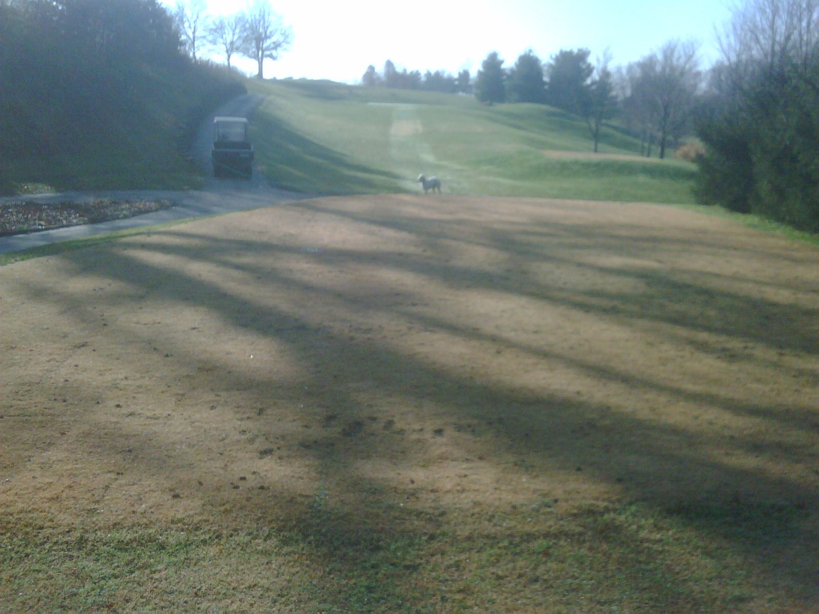 ROLLING HILLS GOLF COURSE: Re-Sodding of Tees
