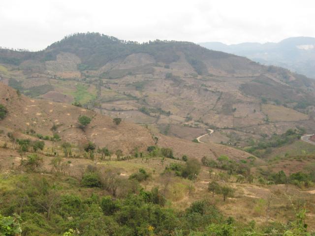 Deforestación En Honduras: Imagenes Principales