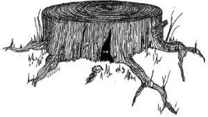 The Magical Journey: "The Tales of Beedle The Bard"