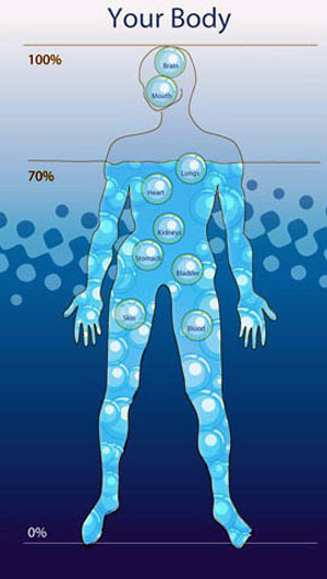 A CAMPAING TO SAVE H2O: H2O and excretion in the human body