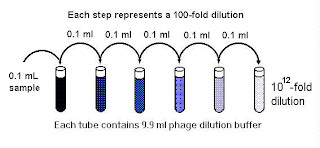How to excel in college chemistry-College chemistry tips: May 2008