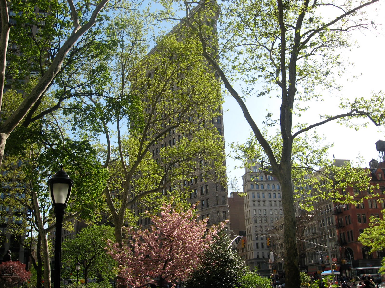 The Grateful Rabbi: GRATEFUL FOR SPRING IN NEW YORK