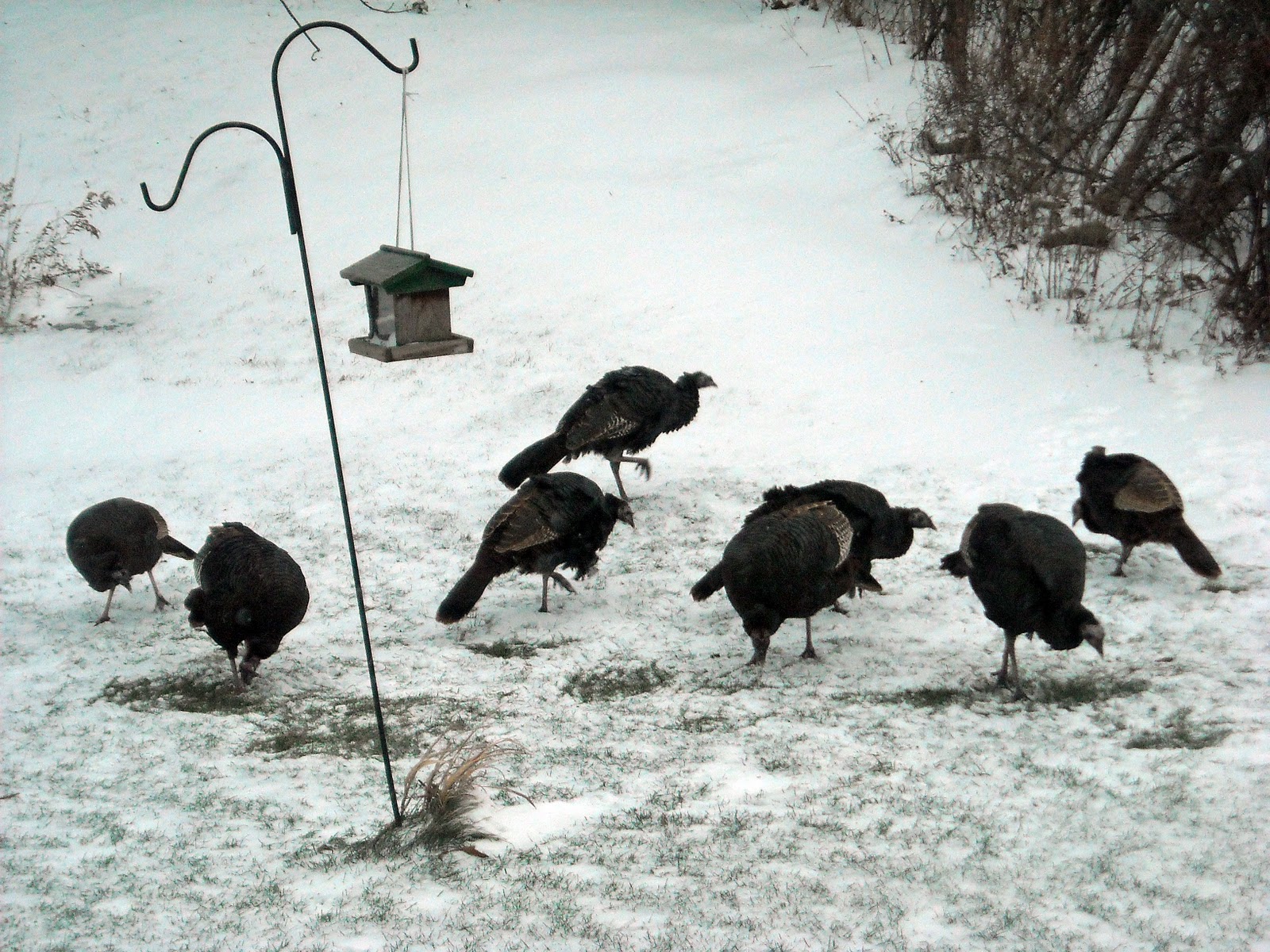 Stitchin' Sweet Sue: ~ SLEIGH RIDES