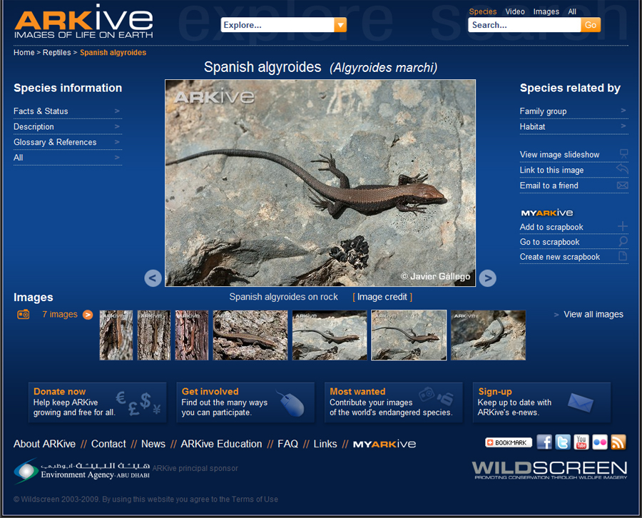 macroinstantes: mayo 2010