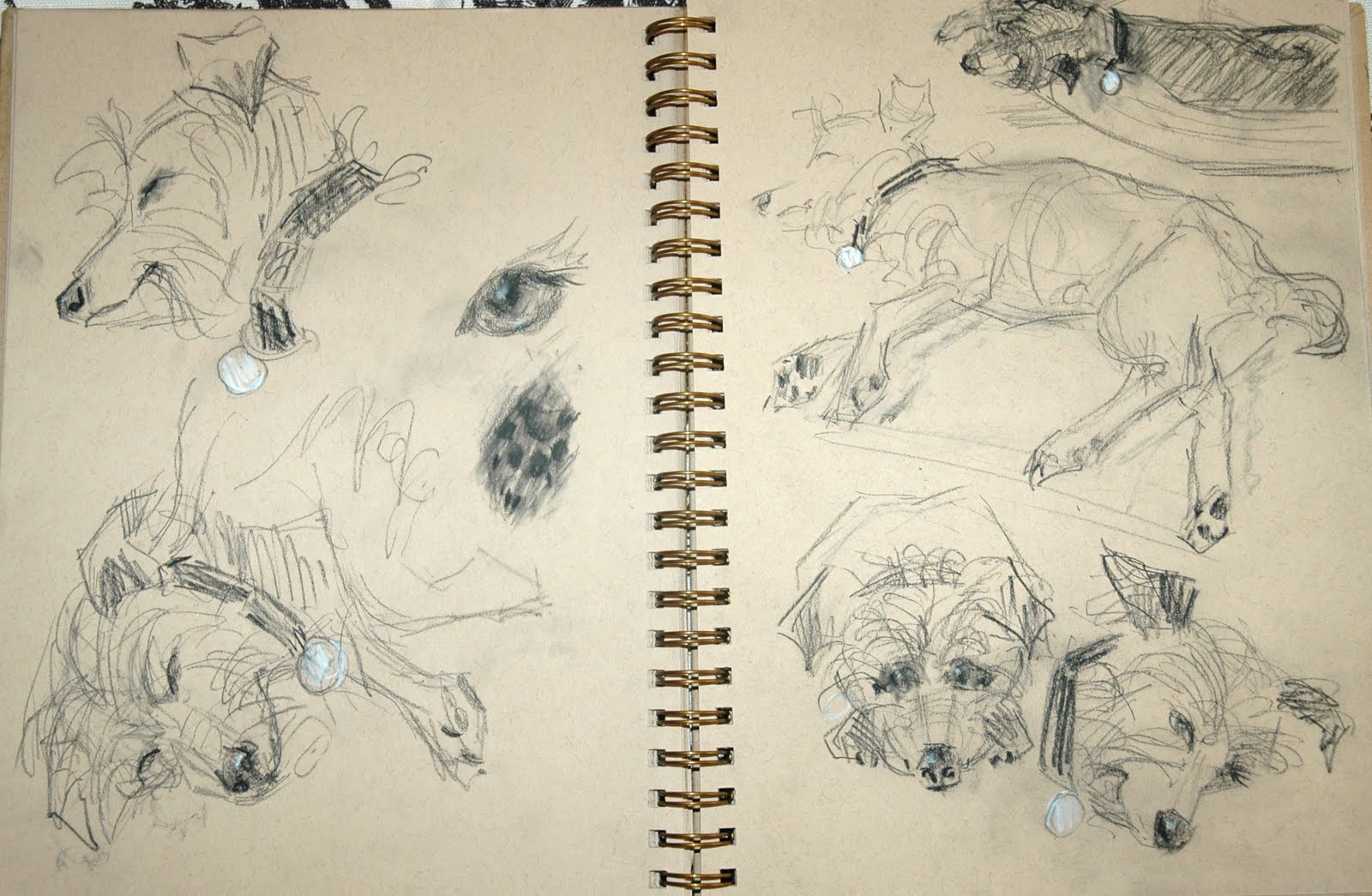 PORTRAIT PAINTING GOLD BY JOHANNA SPINKS: A Dog's Life...365 Days of ...