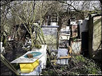 Squatter makes Millions! | BrianMadigan's Blog