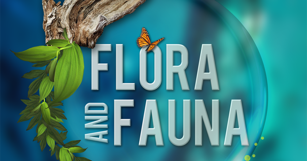 Mediavotion: Flora and Fauna Poster