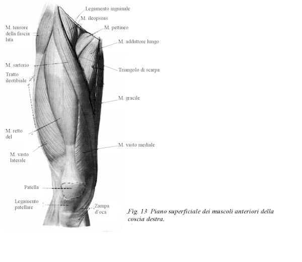 Run&Motion: Gli esercizi di potenziamento muscolare 3