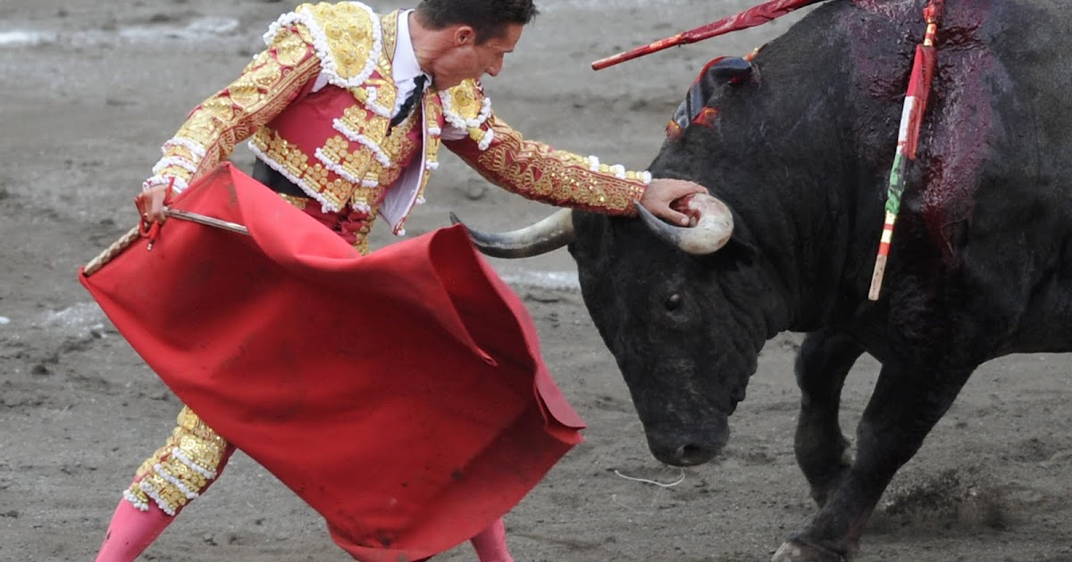 Toroprensa.com: El toreo es la gramática de unos pocos elegidos