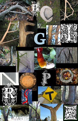 RSCC GRAPHIC DESIGN: Alphabet Project by Curtis