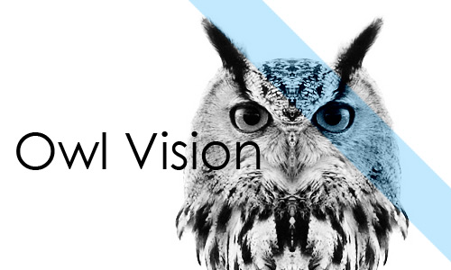 Technocracy: The Owl and The Phoenix