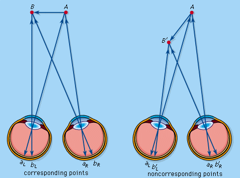 Health Problem & Solutions: Vision Mechanism of Eye