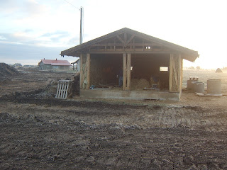 Mano namas: Zalias stogas (pirma diena)