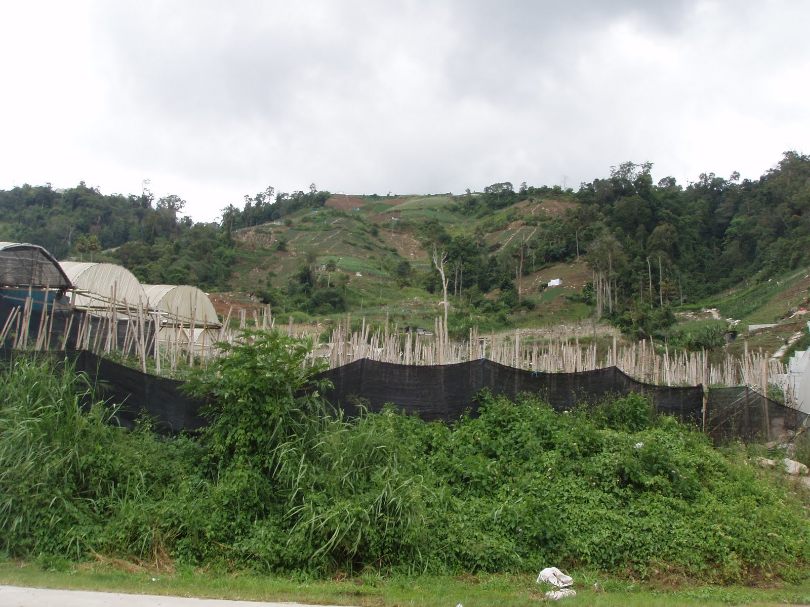 KEKAM_Serdang.com: AKTIVITI KEKAM