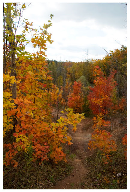 Kewl Beans: January 2010