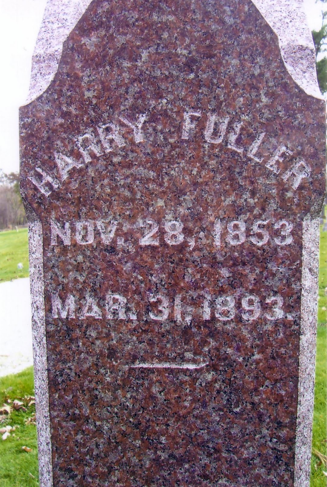 Old Blue Genes: Samuel & Ann Fuller