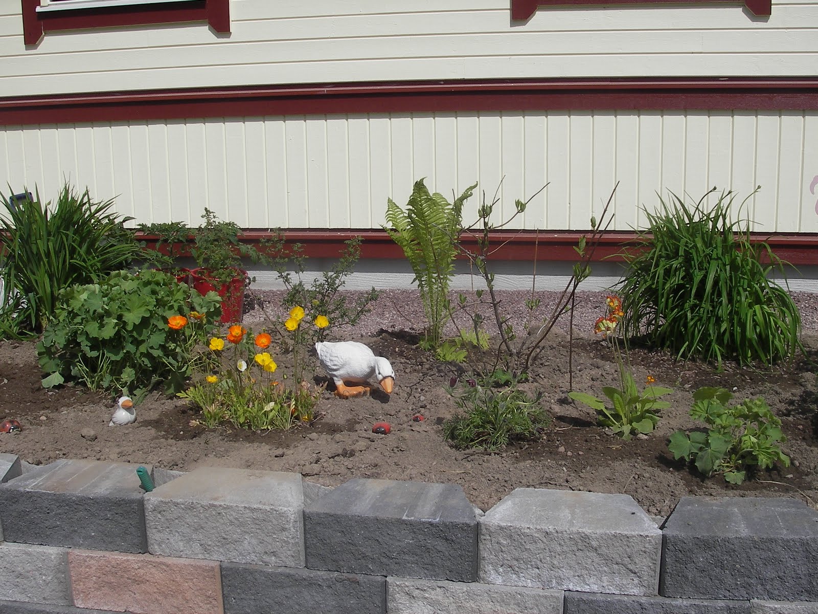 Skvattramsvägen 25: Blomrabatt