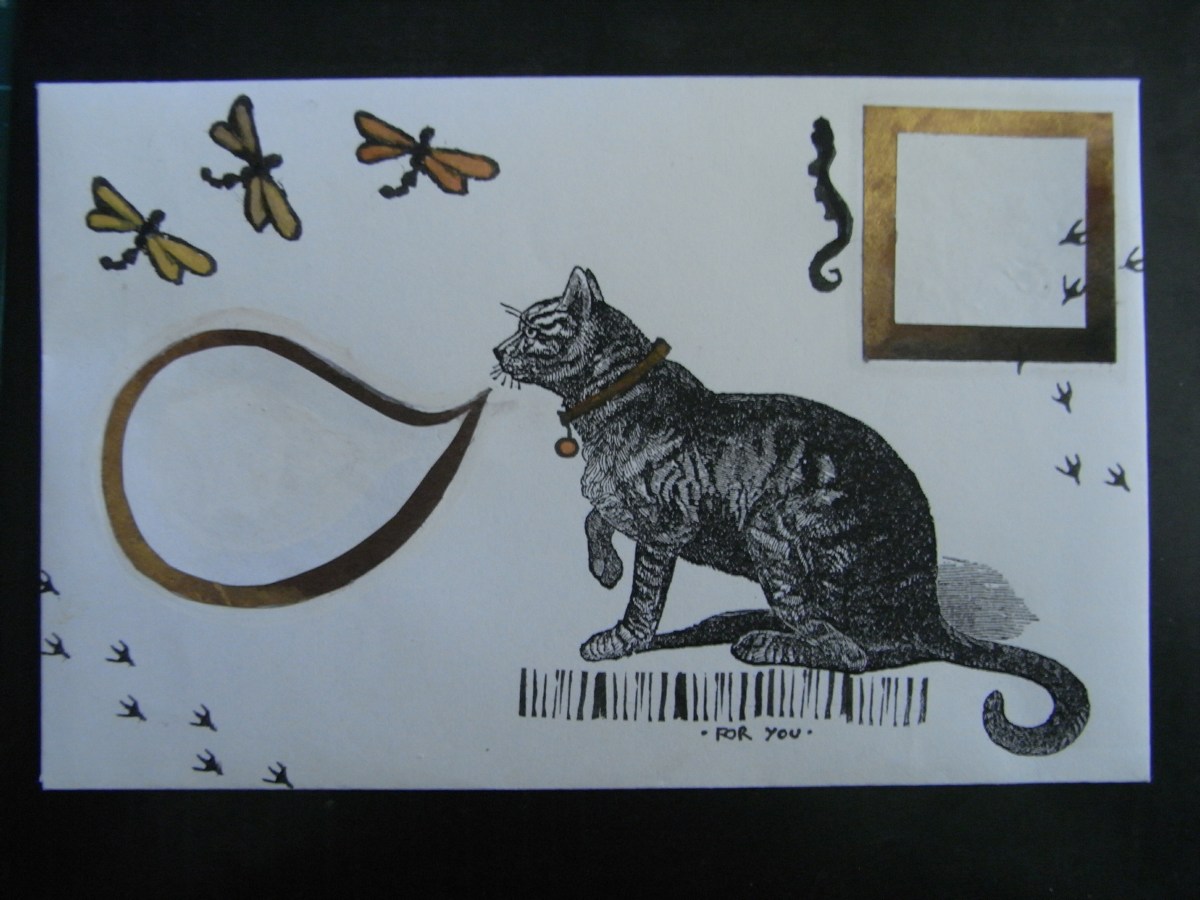 saraccino: Cat envelope