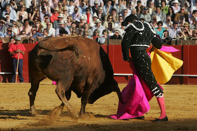 EL ARTE EN ESTADO PURO: FOTOS TOREANDO