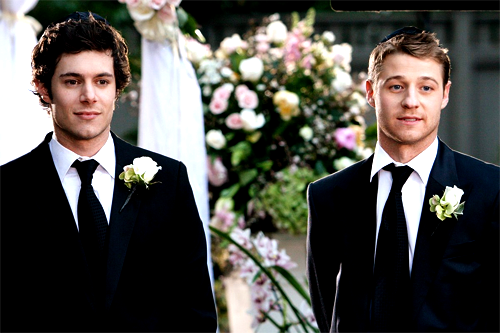 .: Everybody loves Seth Cohen