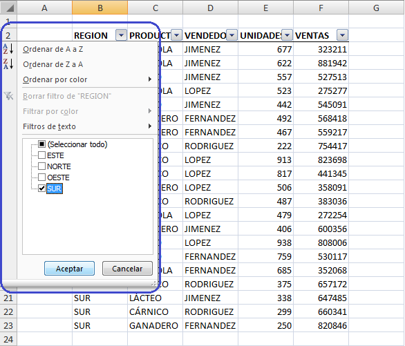 Microsoft Excel Básico: Uso de la Ficha Datos (Excel 2007) - Parte 2