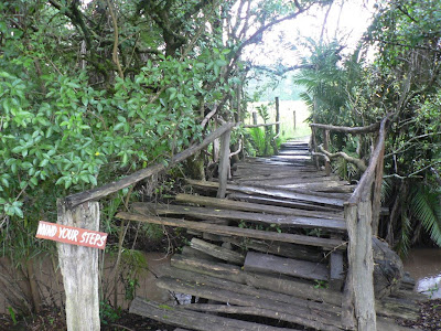 Allison in Africa: Ndura's Kitale Nature Conservancy