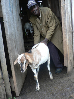 Allison in Africa: Ndura's Kitale Nature Conservancy