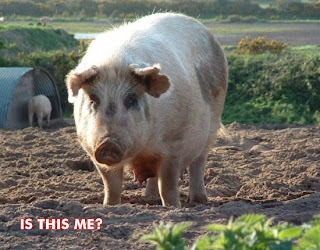 Lehigh Valley Ramblings: Bless Me Peg Ferraro, For I Have Sinned