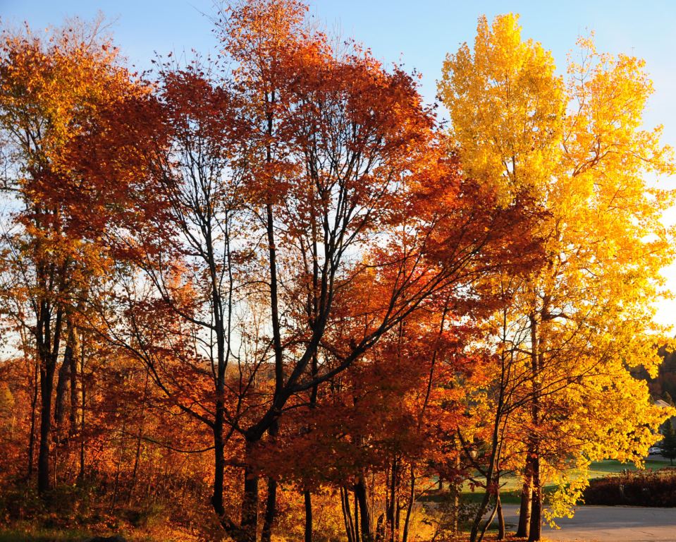 Mark your calendars: 18 January is KASHMIRI PANDIT EXODUS DAY. Please ...