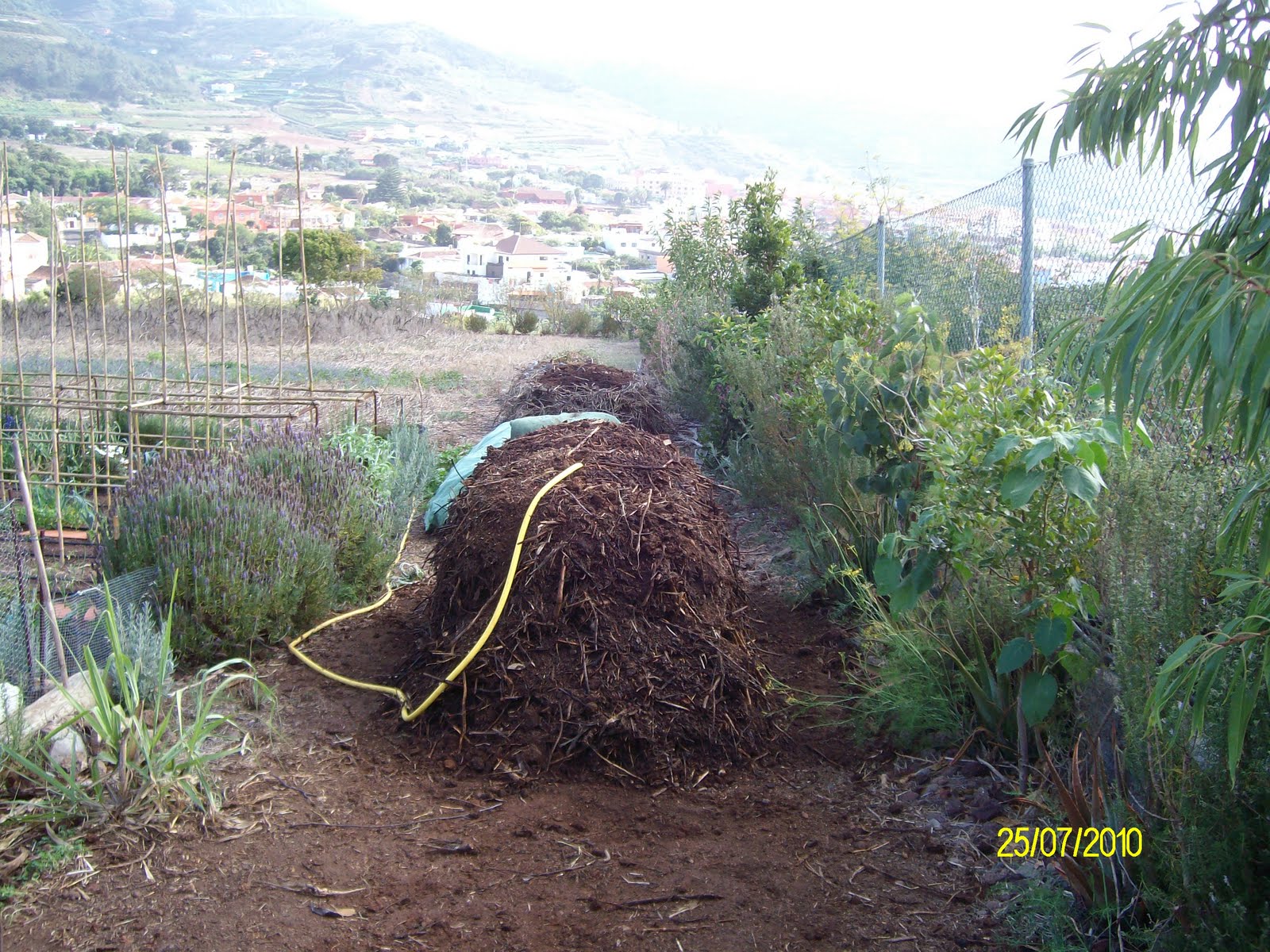 Finca Ecológica el Pilón: La pila de compost y su proceso