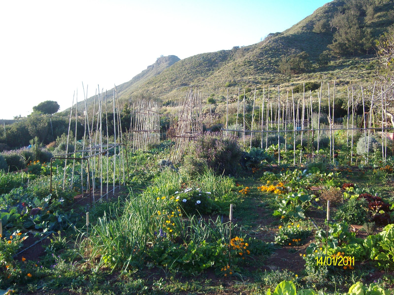 Finca Ecológica el Pilón: Cosas del día a día en la Finca el Pilón.
