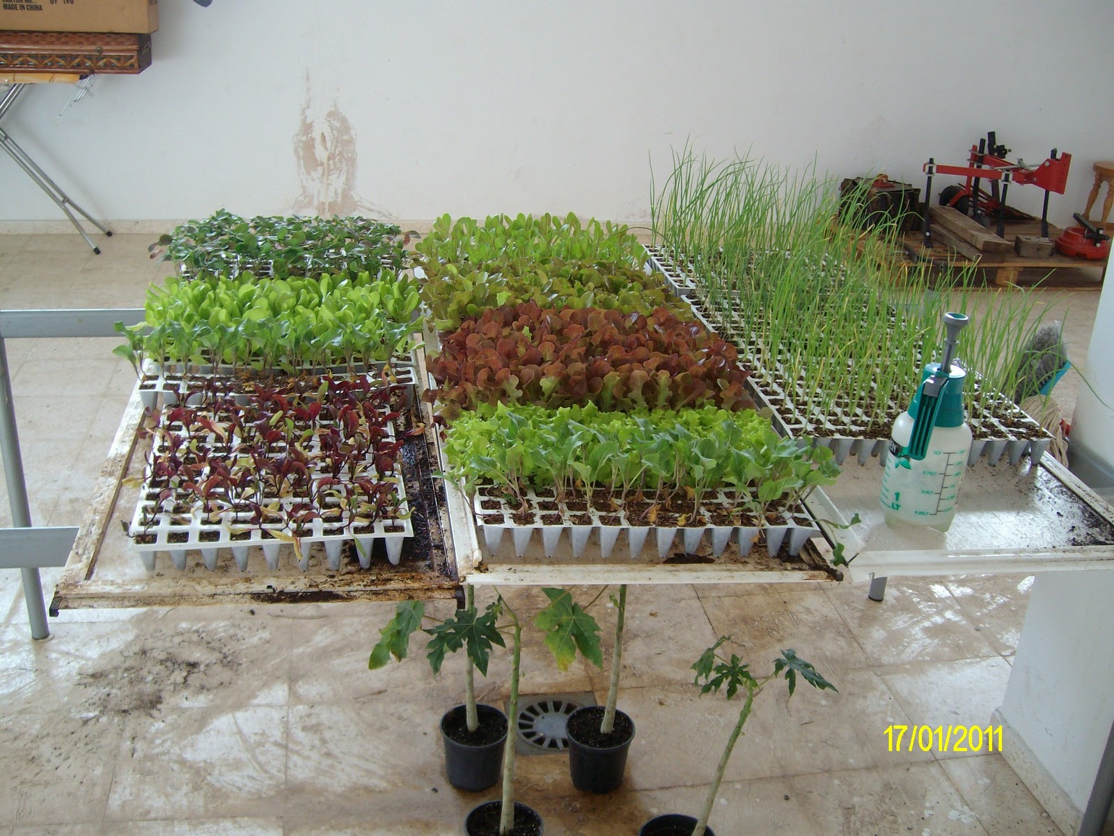 Finca Ecológica el Pilón: Cosas del día a día en la Finca el Pilón.