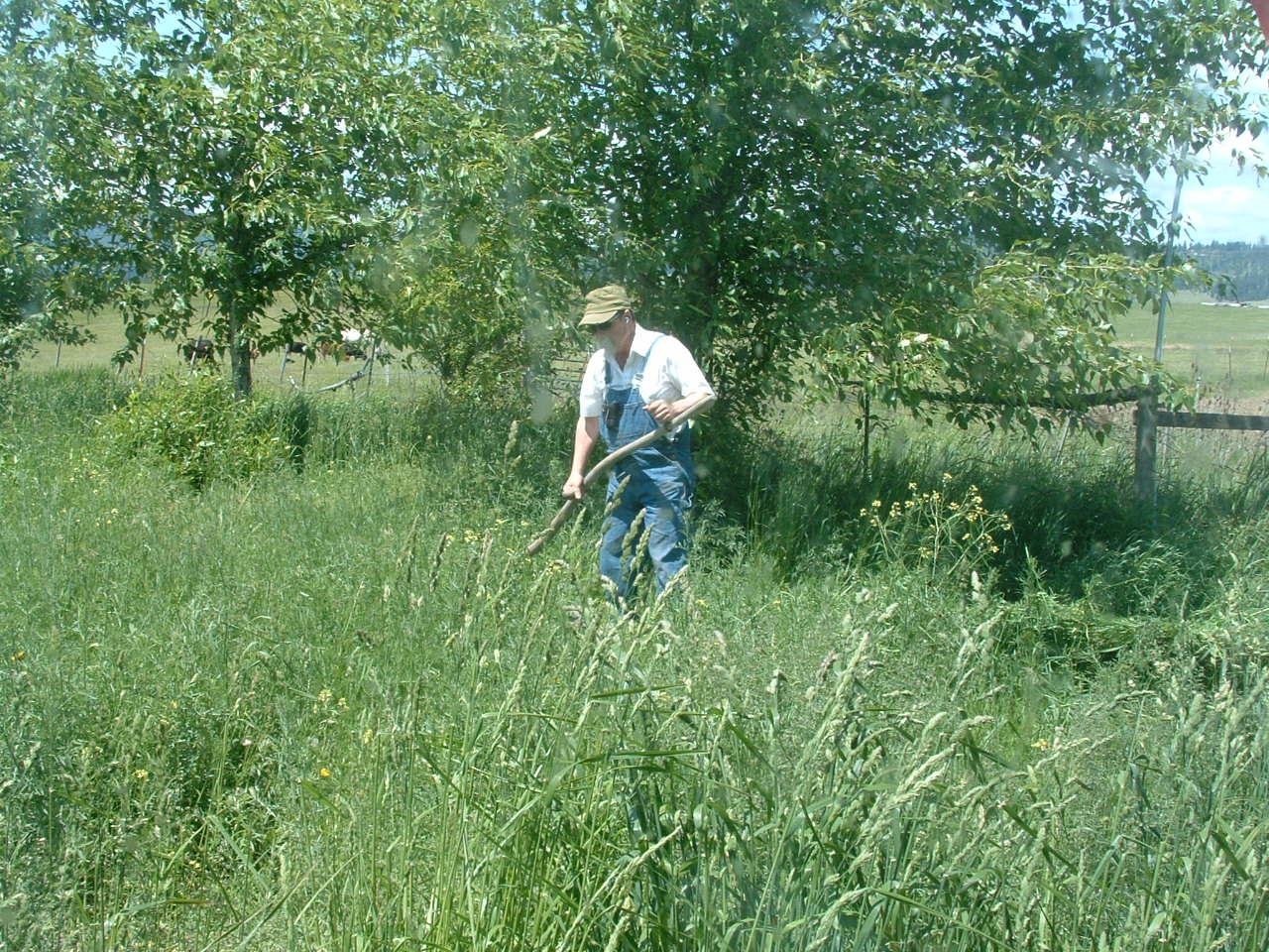 Rural Revolution: Scything grass