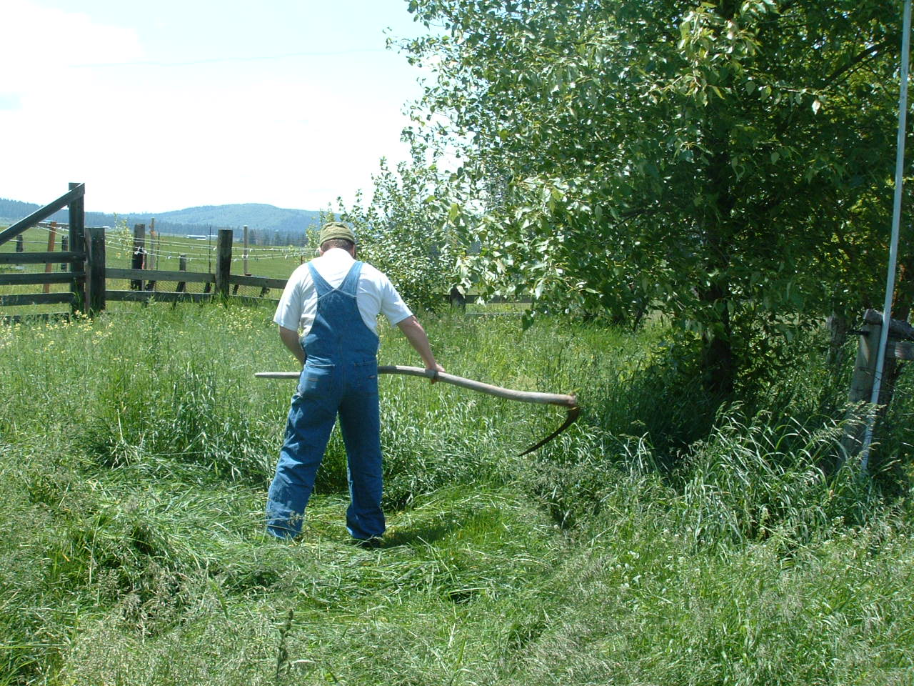 Rural Revolution: Scything grass