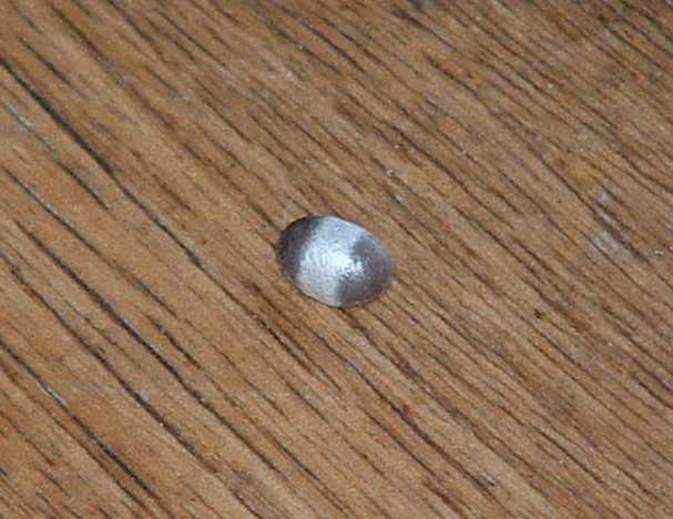 Rural Revolution: Idaho jumping beans