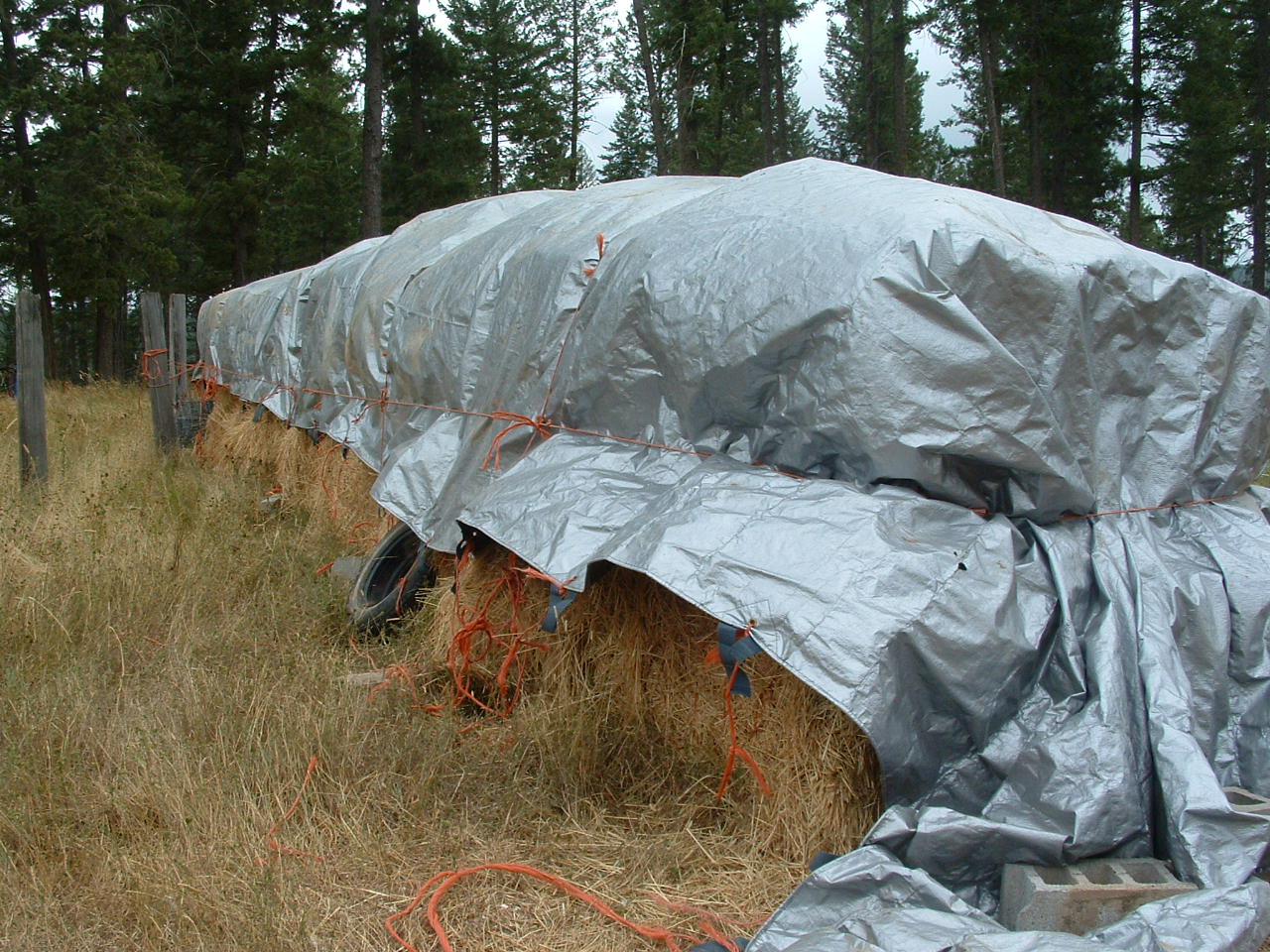 Rural Revolution: Tarping hay