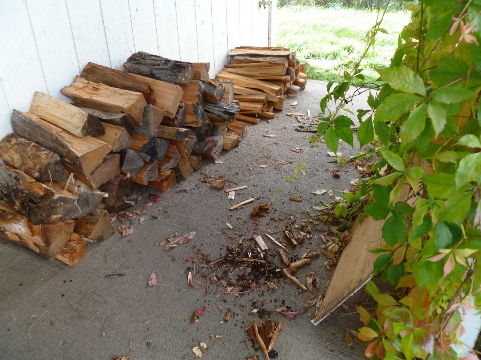 Rural Revolution: Splitting firewood