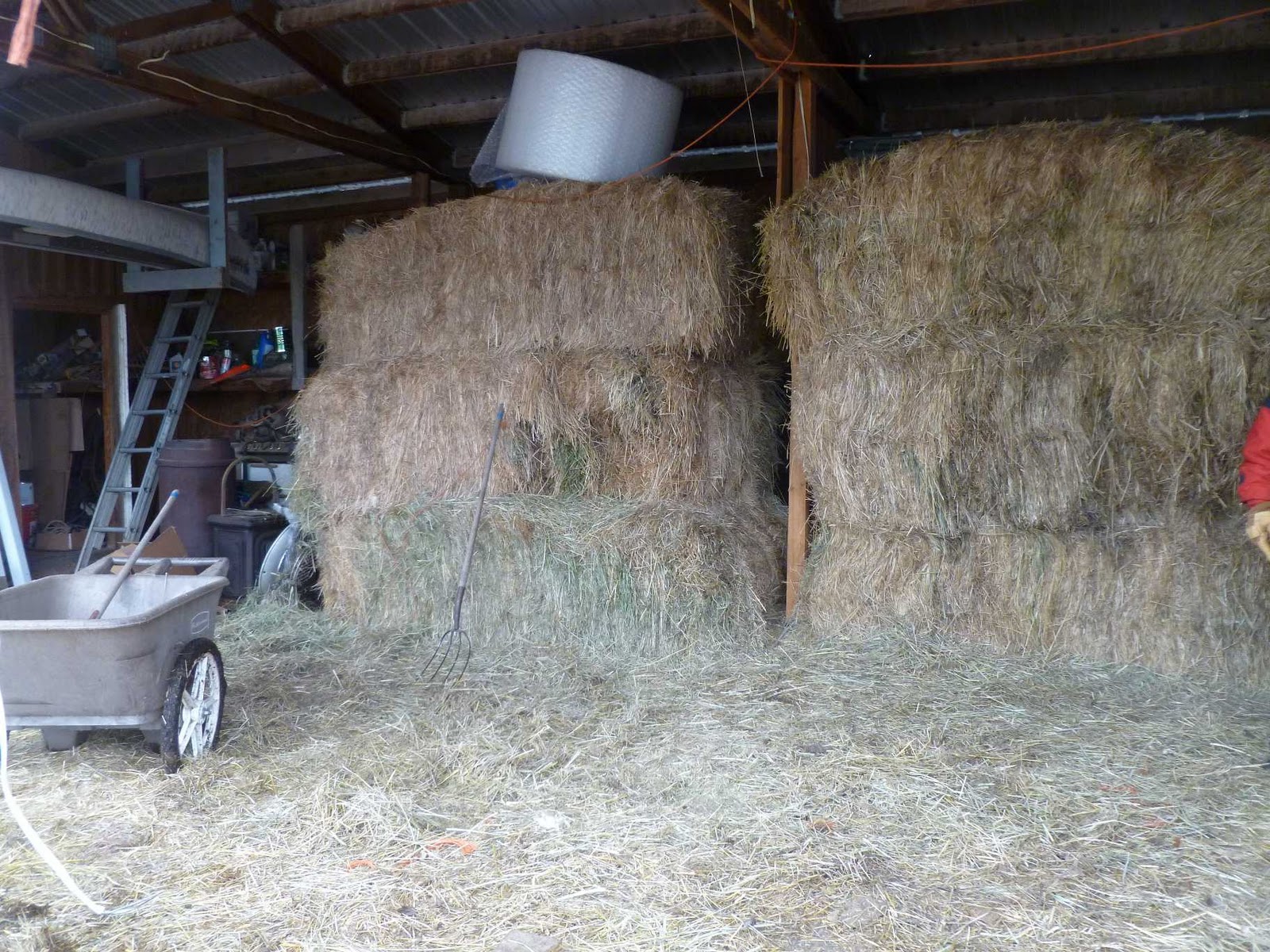 Rural Revolution: Stacking hay