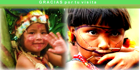 soljaguar: KIN MAYA: qué es, para qué sirve?