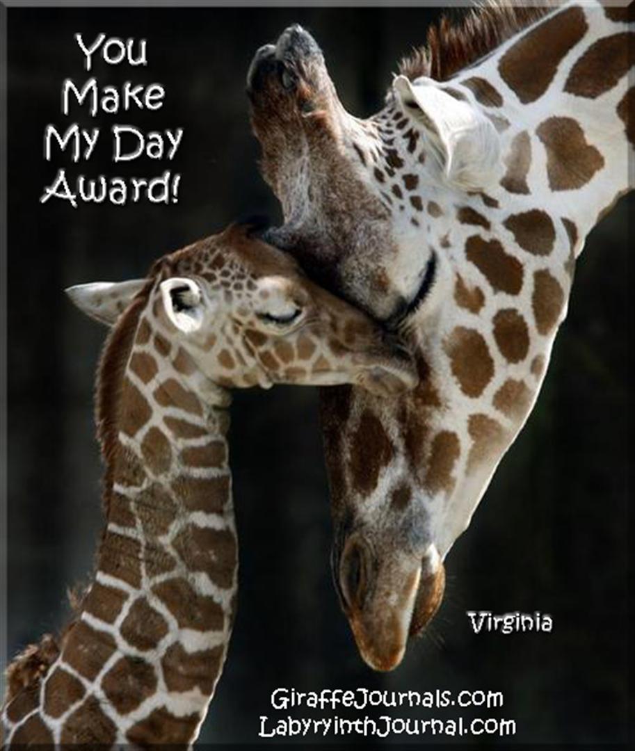 Giraffe Journal | A place to experiment with possibilities and share ...