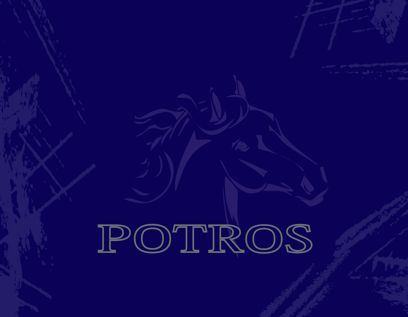 ESTAMPADOS: Imagen Corporativa POTROS - 2009