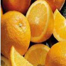 TODA FRUTA: LARANJA