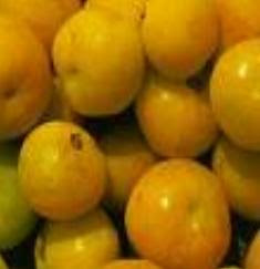 TODA FRUTA: CAGAITA - (Eugenia dysenterica)