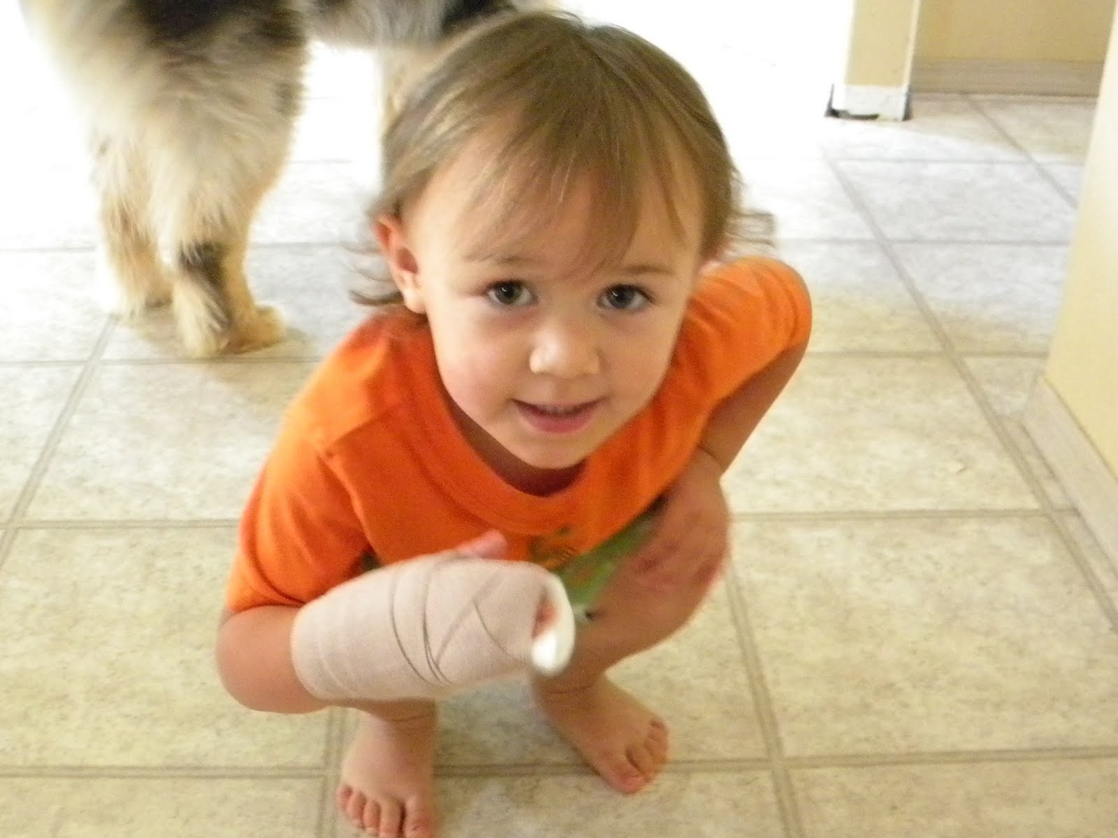 Learning as I go: Split chins and splints