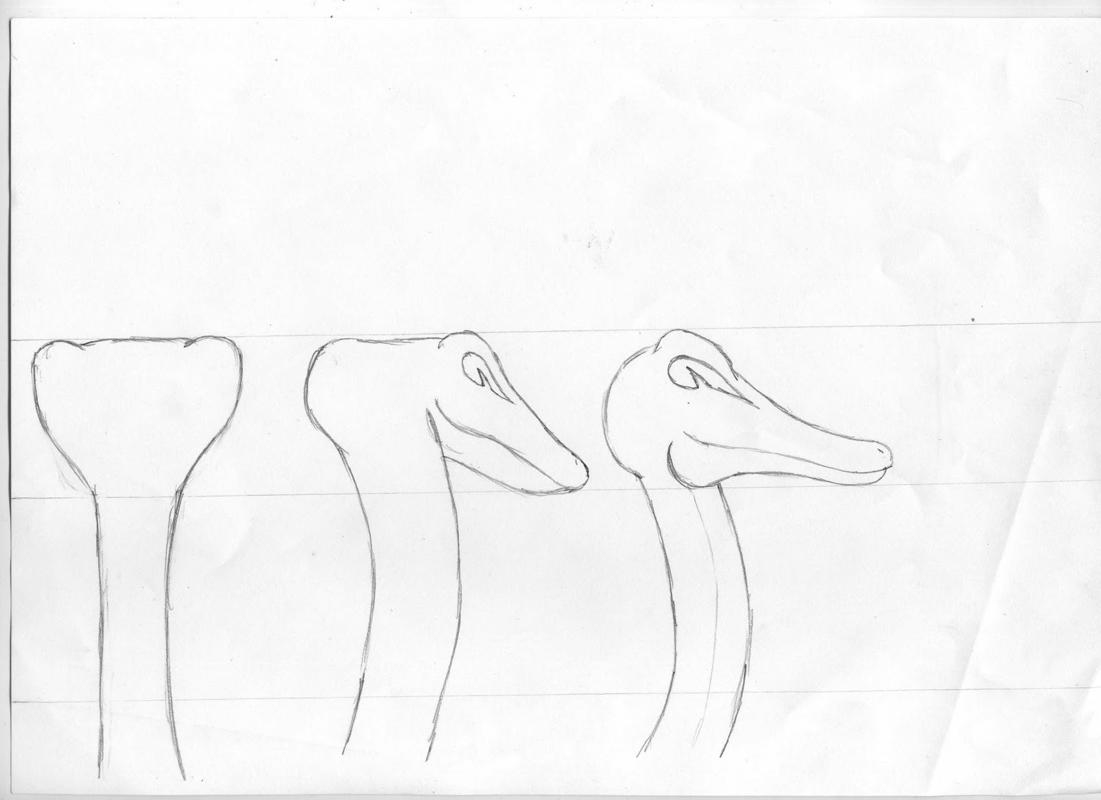 Turtle Style: Model Sheets; Viper