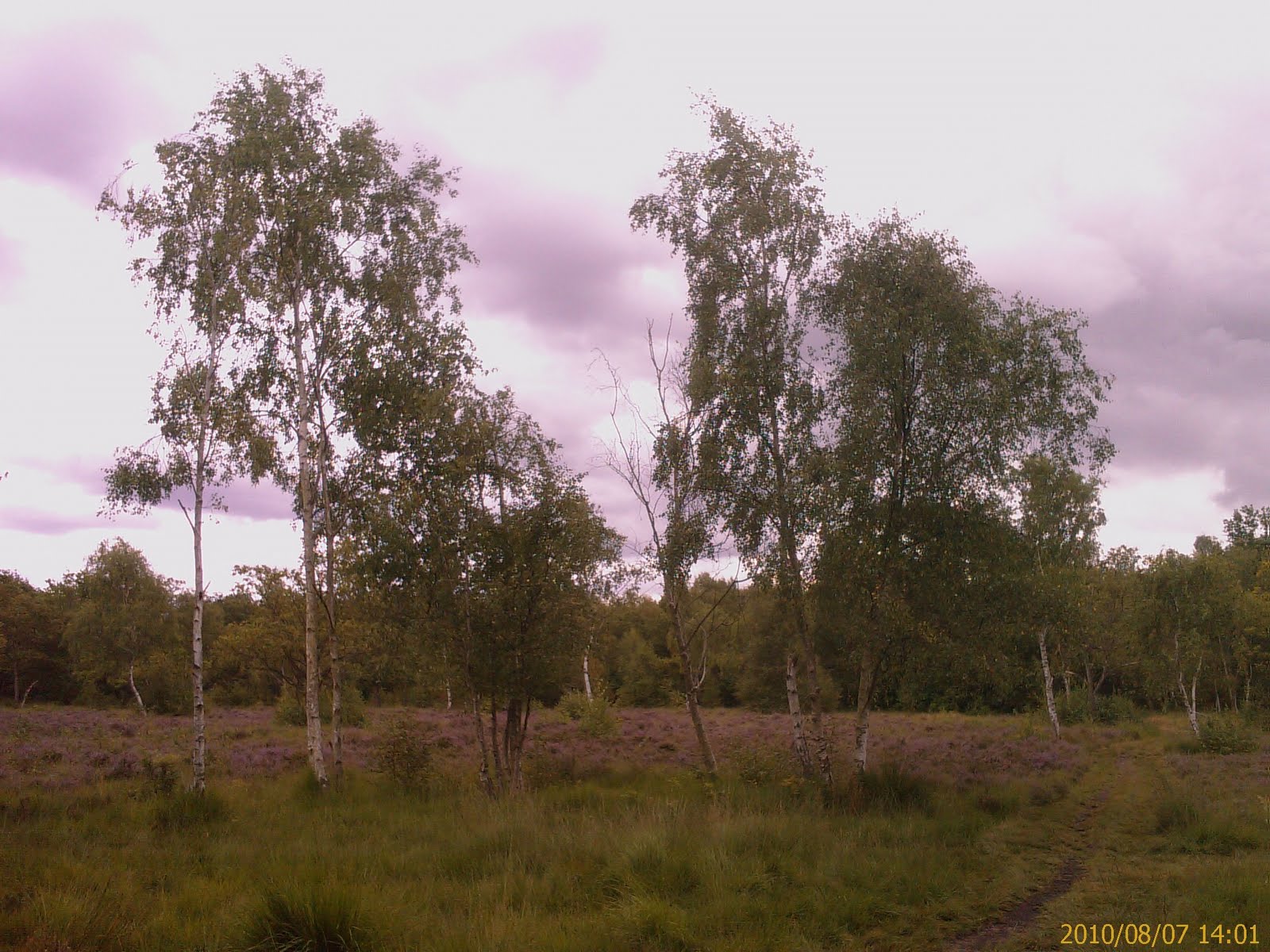 Capital nature - Barnehurst, Bexley and beyond: 7/8/10: Missing the ...
