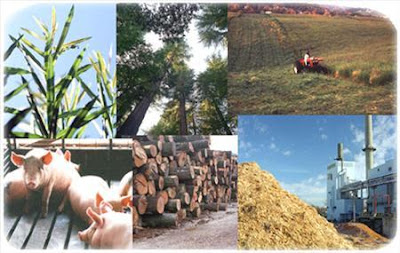 Renewable energy Blog: BIOMASS AND WASTE CONVERSION TECHNOLOGIES