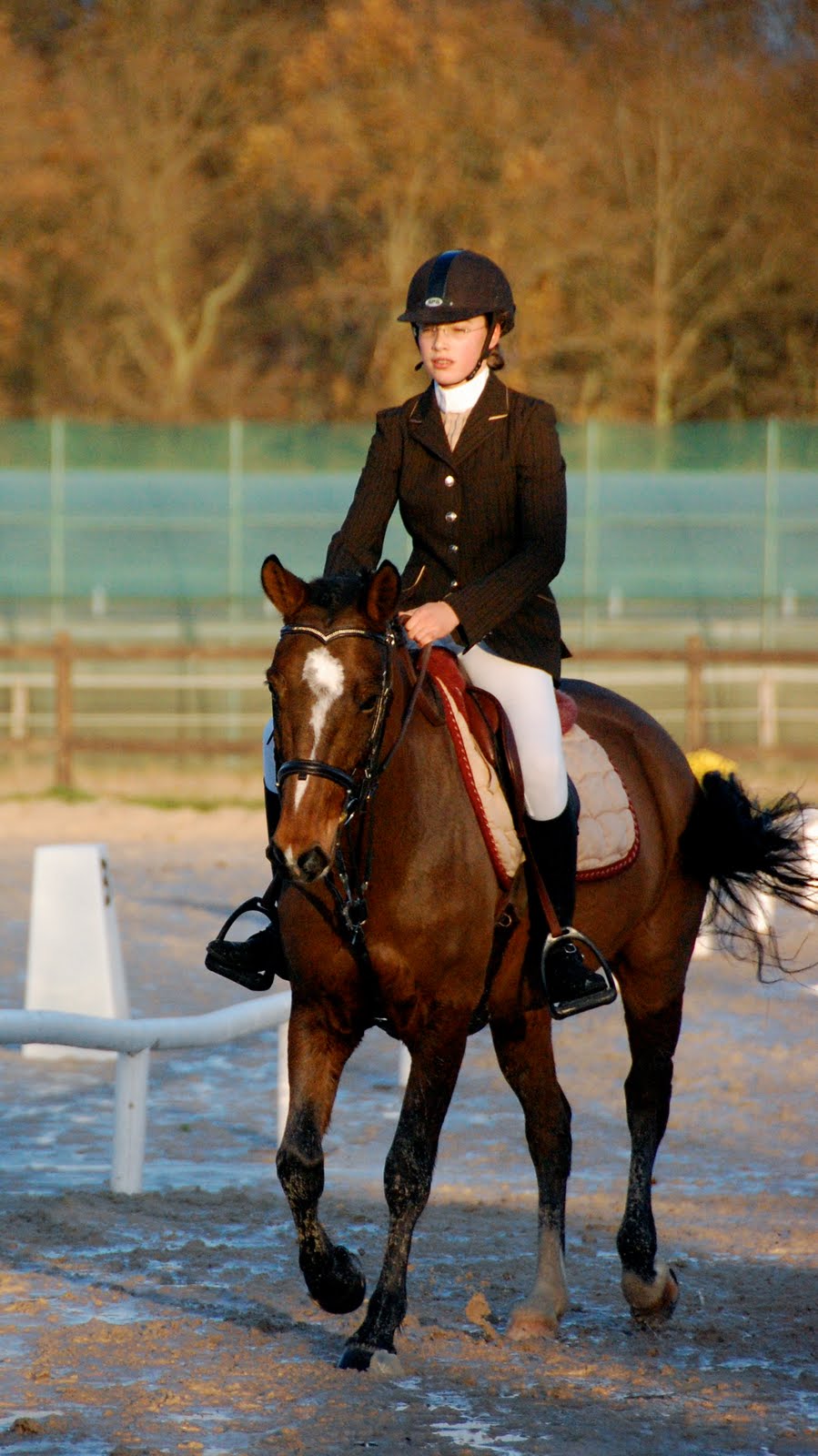 Photos: Concours de Dressage Milly la forêt