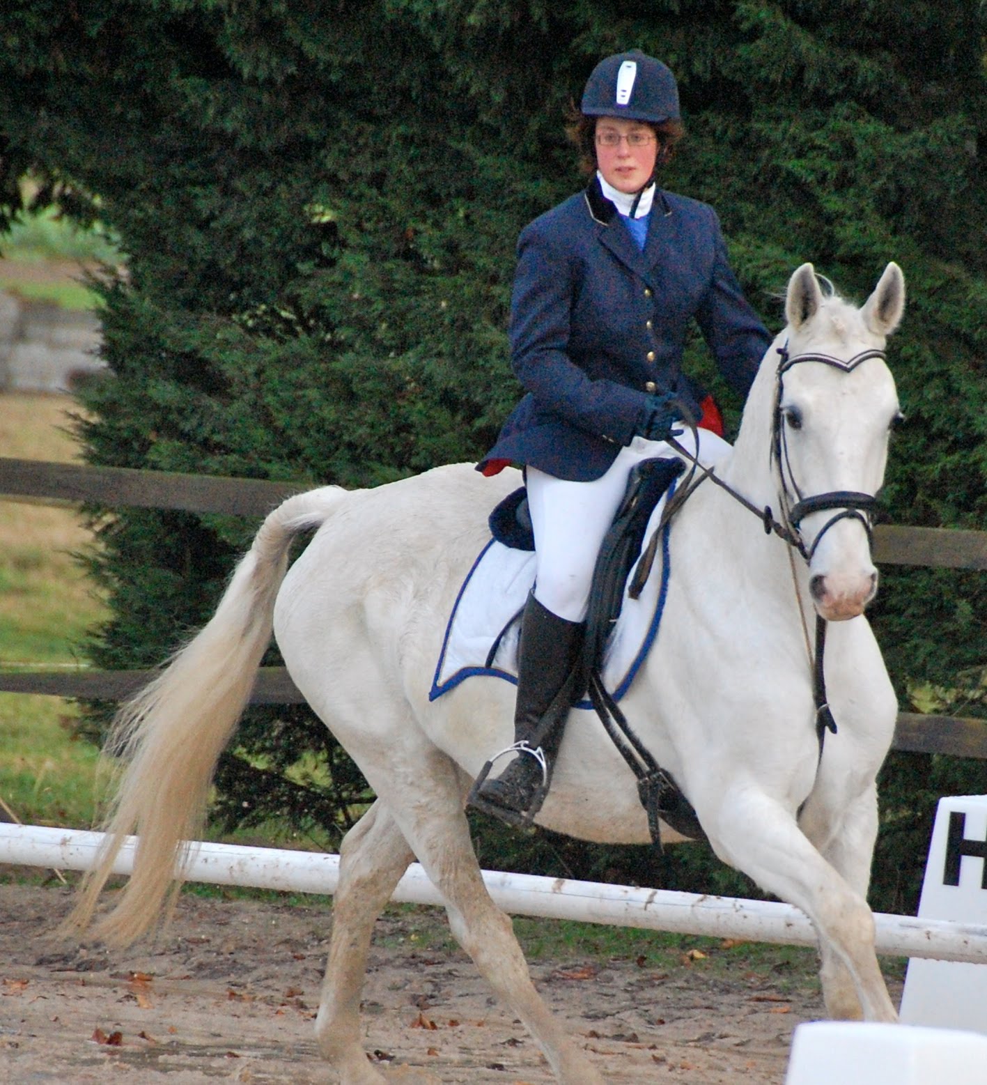 Photos: Concours de Dressage Milly la forêt