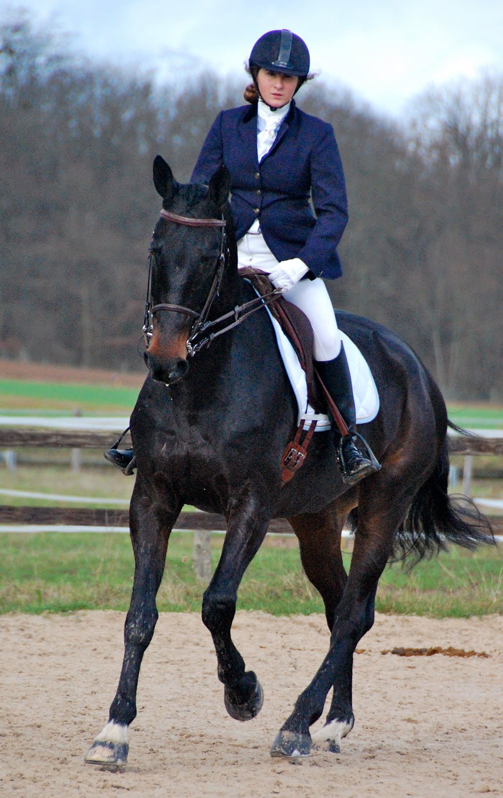 Photos: Concours de Dressage Milly la forêt